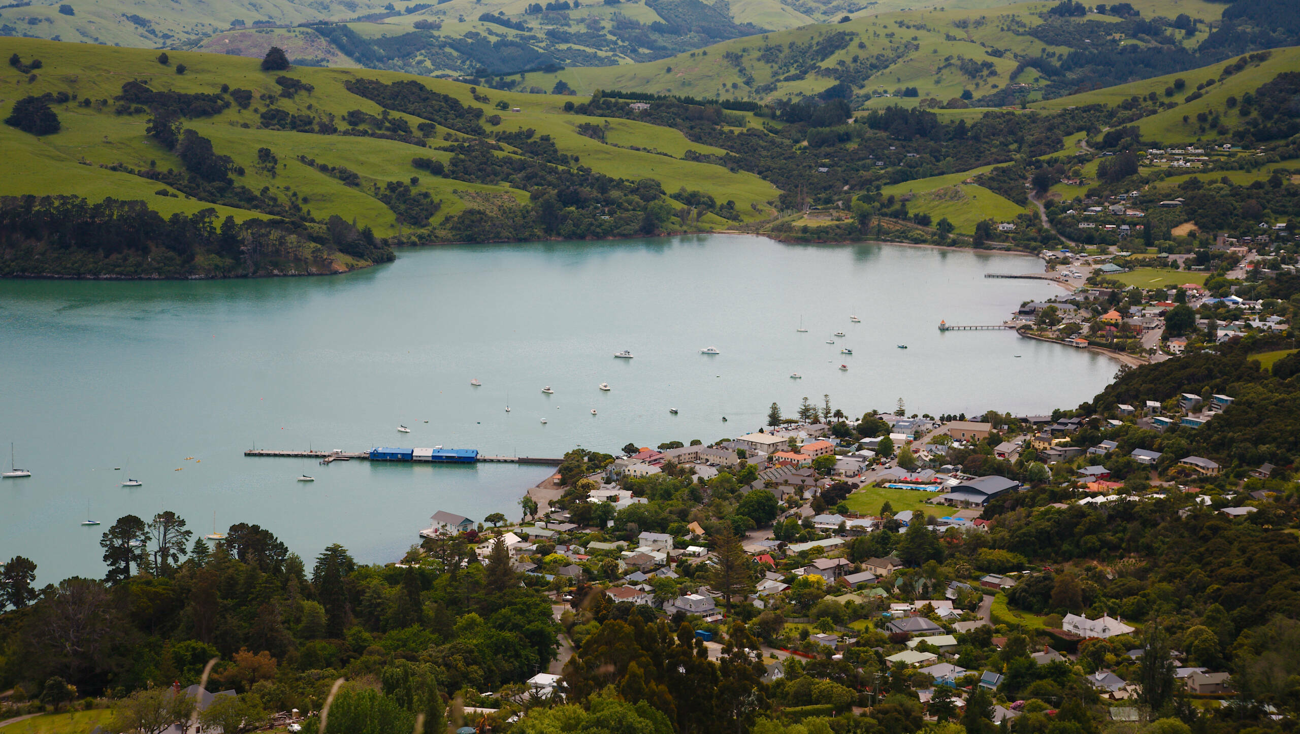 Full Day Akaroa | Koru Scenic Tours