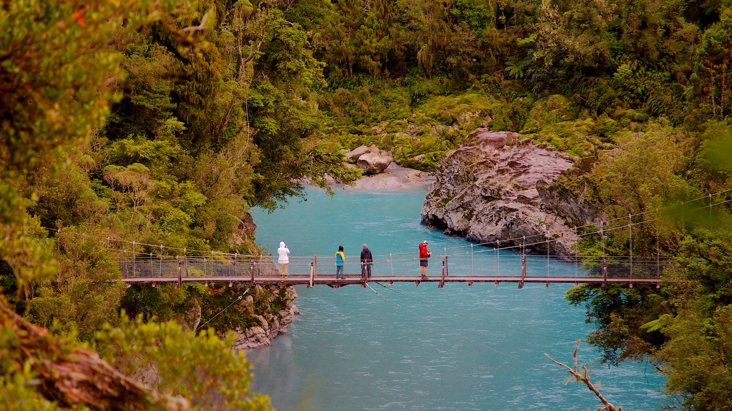 West Coast Sampler | Koru Scenic Tours