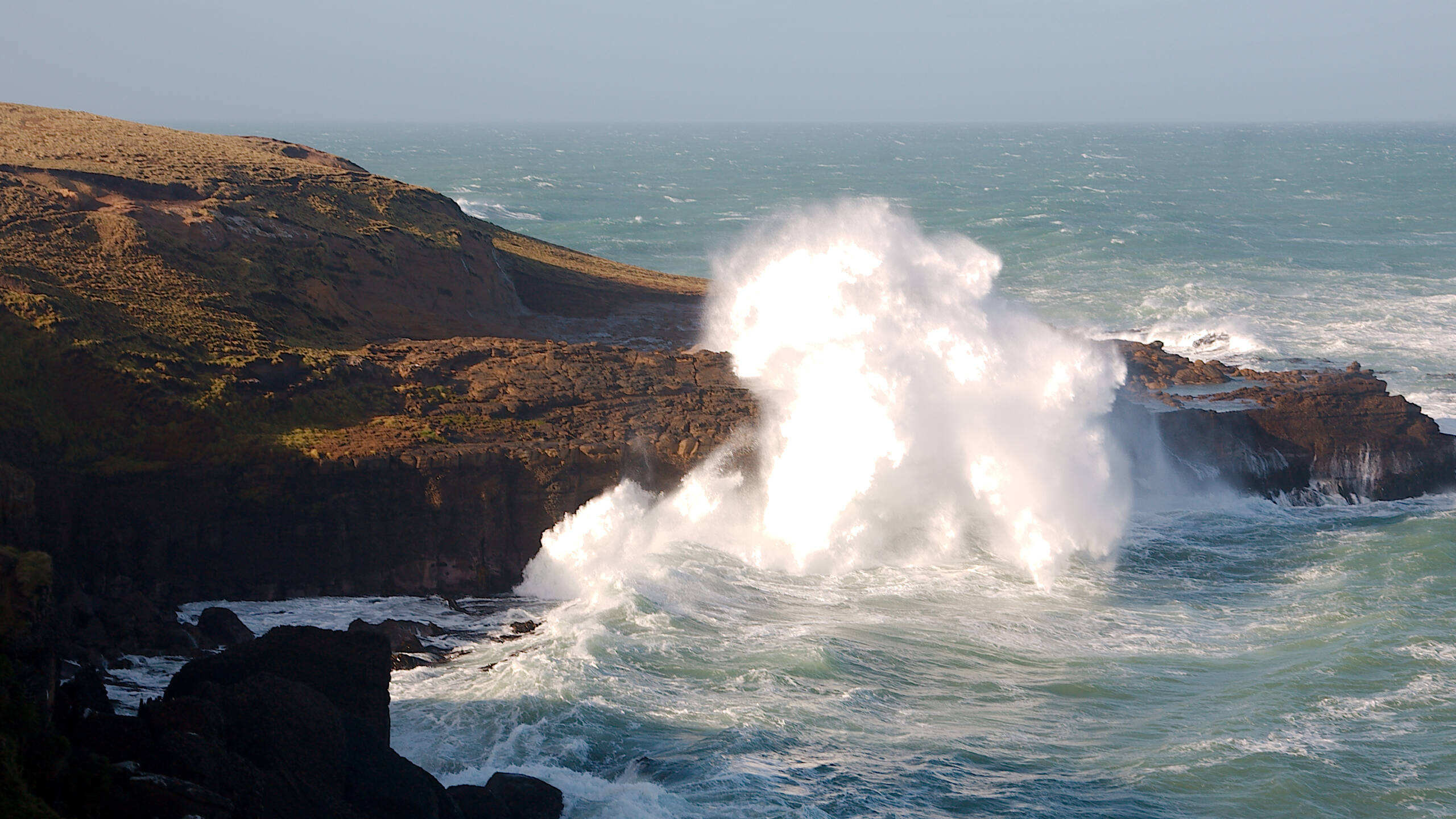 Deep South | Koru Scenic Tours